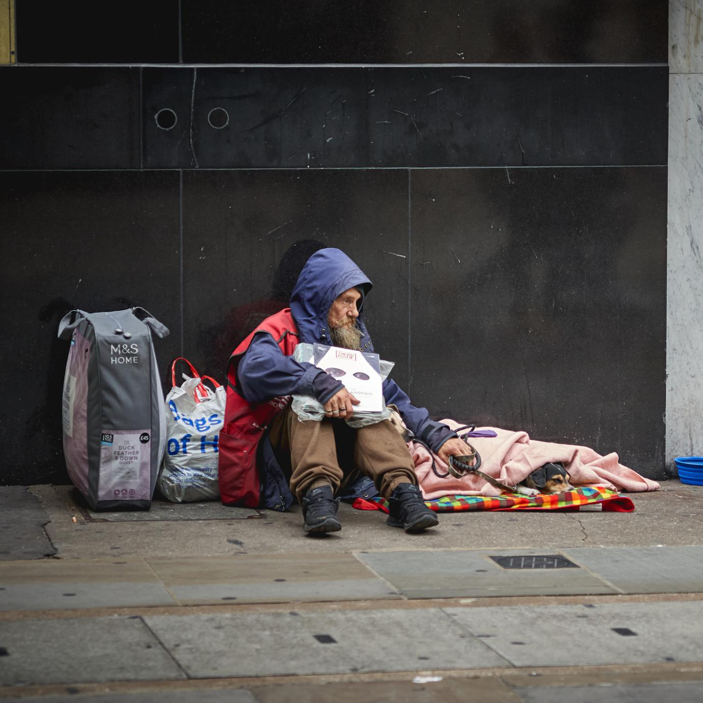 Homeless Stars Housing